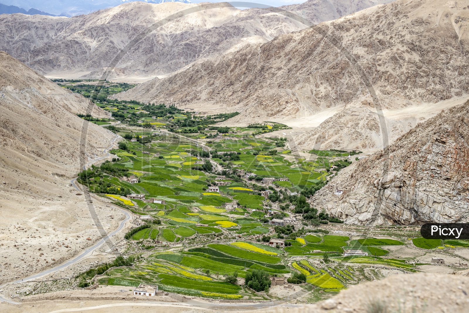 Image of Greenery, Leh to Pangong-MW678316-Picxy