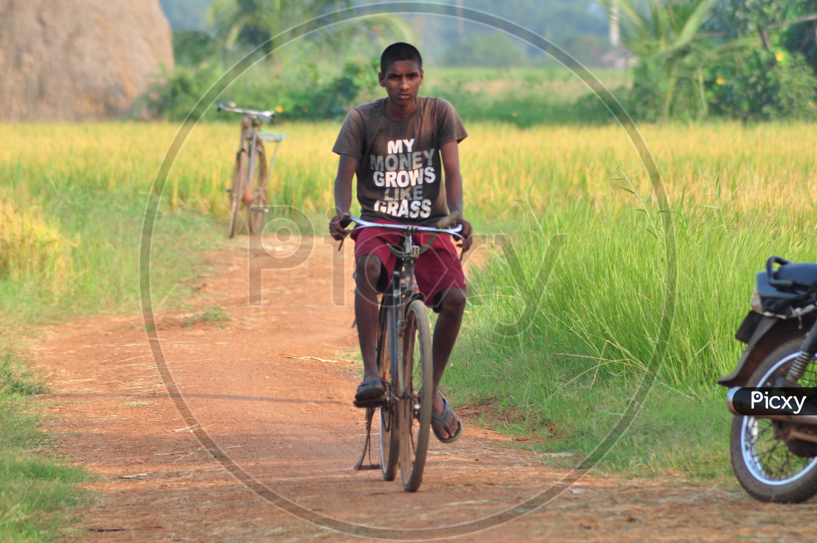 Image of Boy on Cycle-ZS749835-Picxy