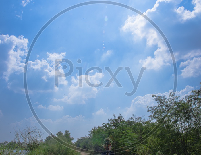 Image of Life, under the Sun.-KG516773-Picxy