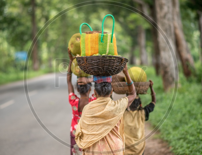 Image of tribals of lambasingi carrying fruits and vegetable-MQ395793-Picxy