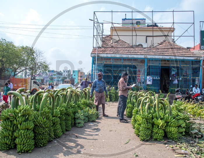 Image of Koyambedu Fruit Market.-YQ044036-Picxy
