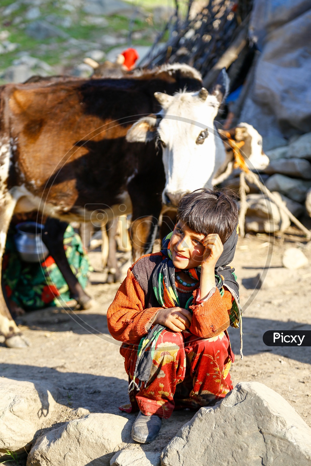 Image of Kashmiri Kid-HO192436-Picxy