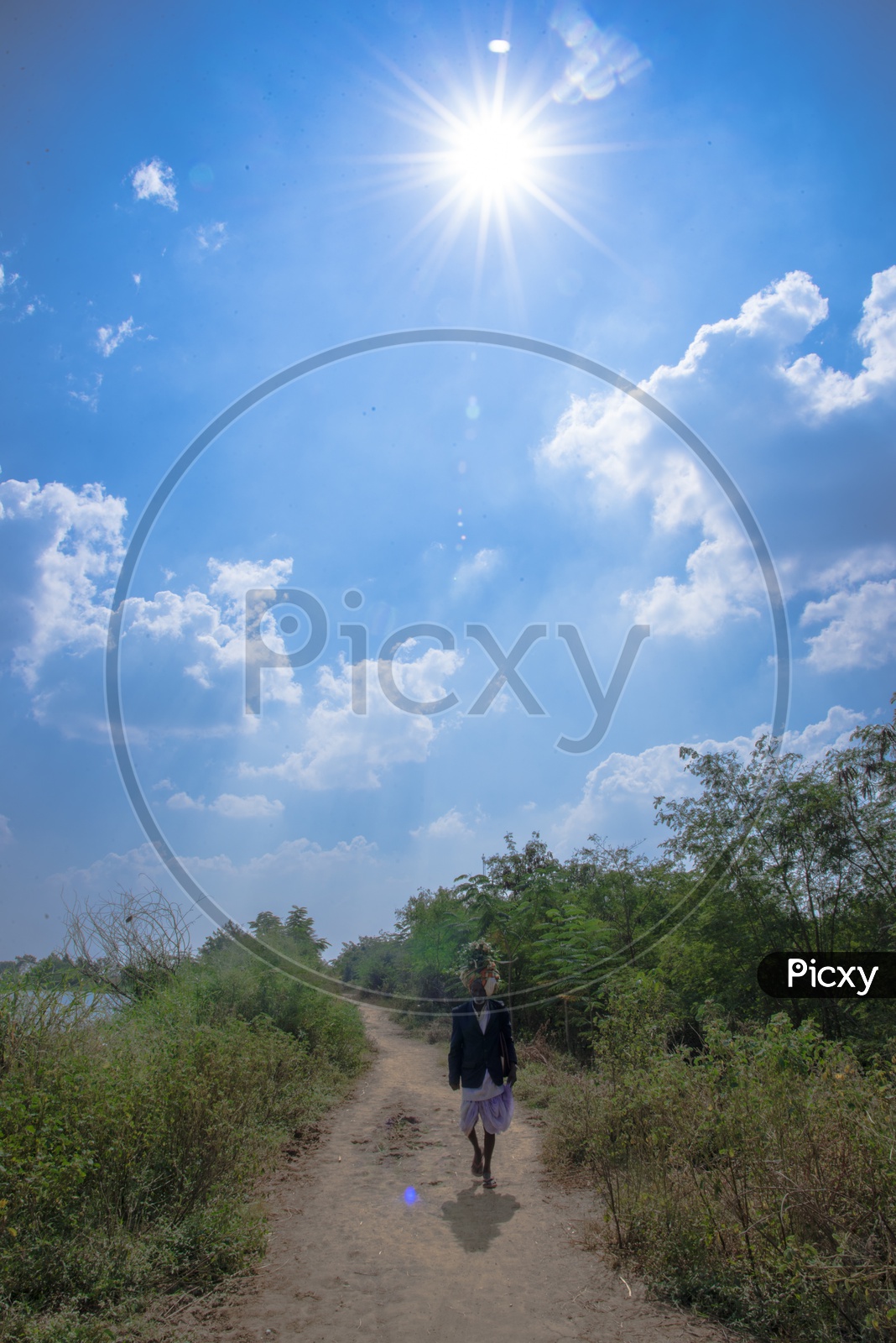 Image of Life, under the Sun.-KG516773-Picxy