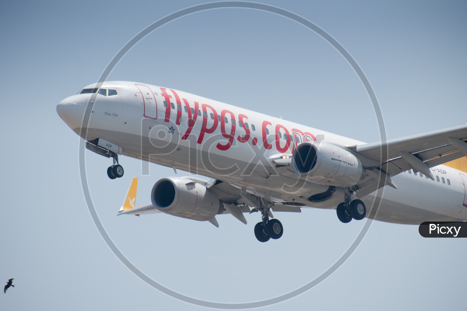 Image of flypgs 737-TX942968-Picxy