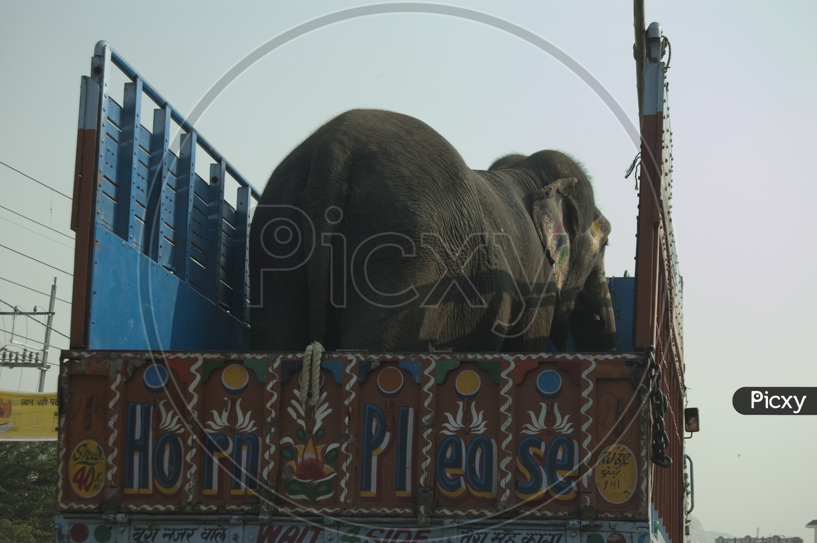 Image of Elephant being Transported by Lorry in Jaipur-PE358488-Picxy
