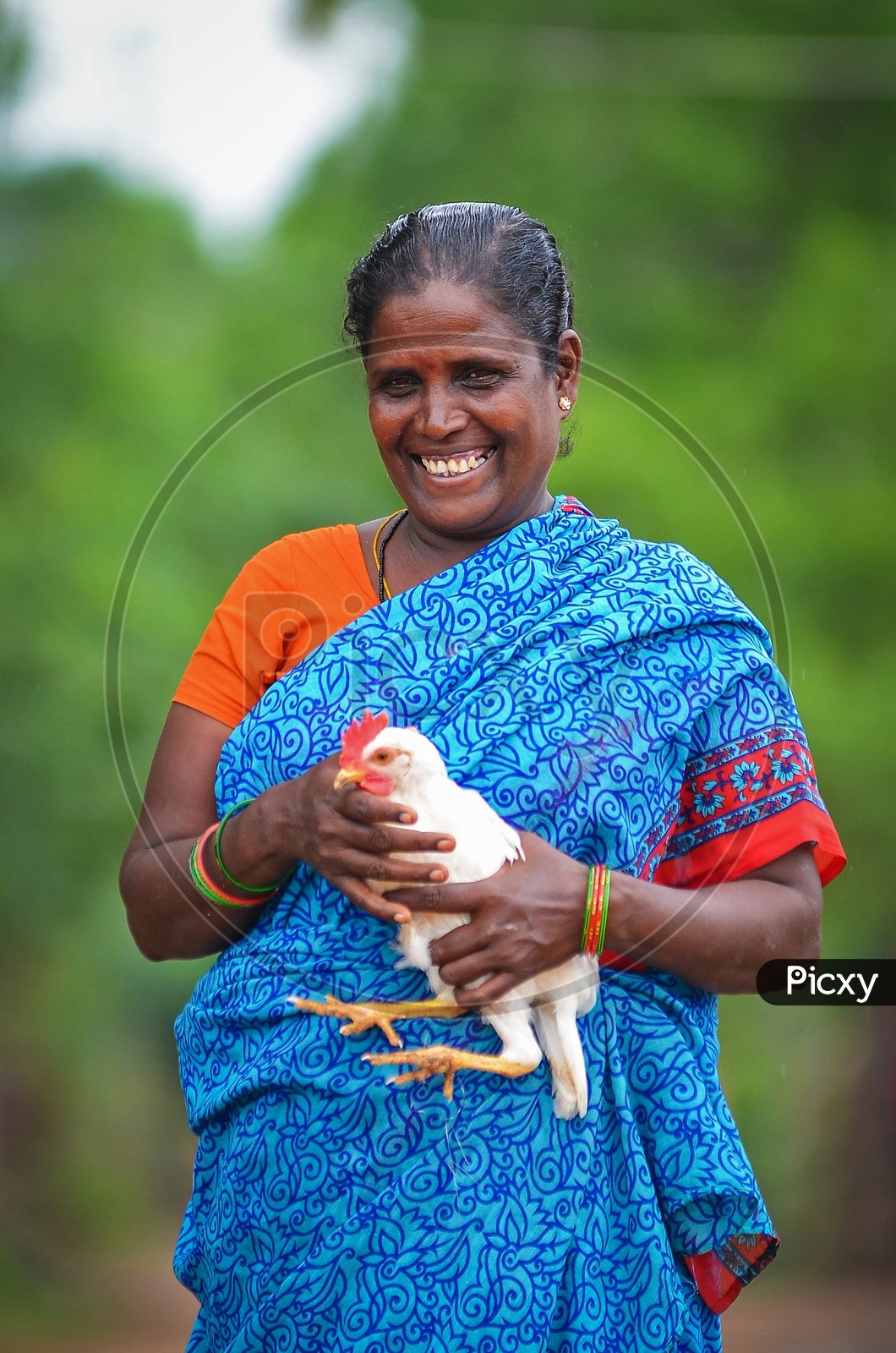Image of NTR mana kodi scheme-CC903684-Picxy
