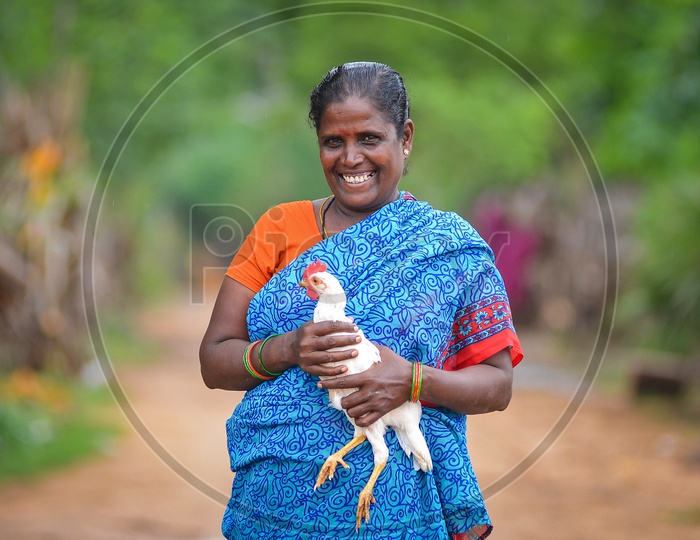 Image of NTR mana kodi scheme-CC903684-Picxy