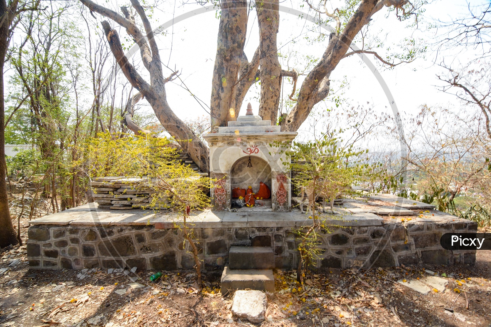 Image of Hanuman Temple below Banyan Tree at Parvati Hill Complex ...
