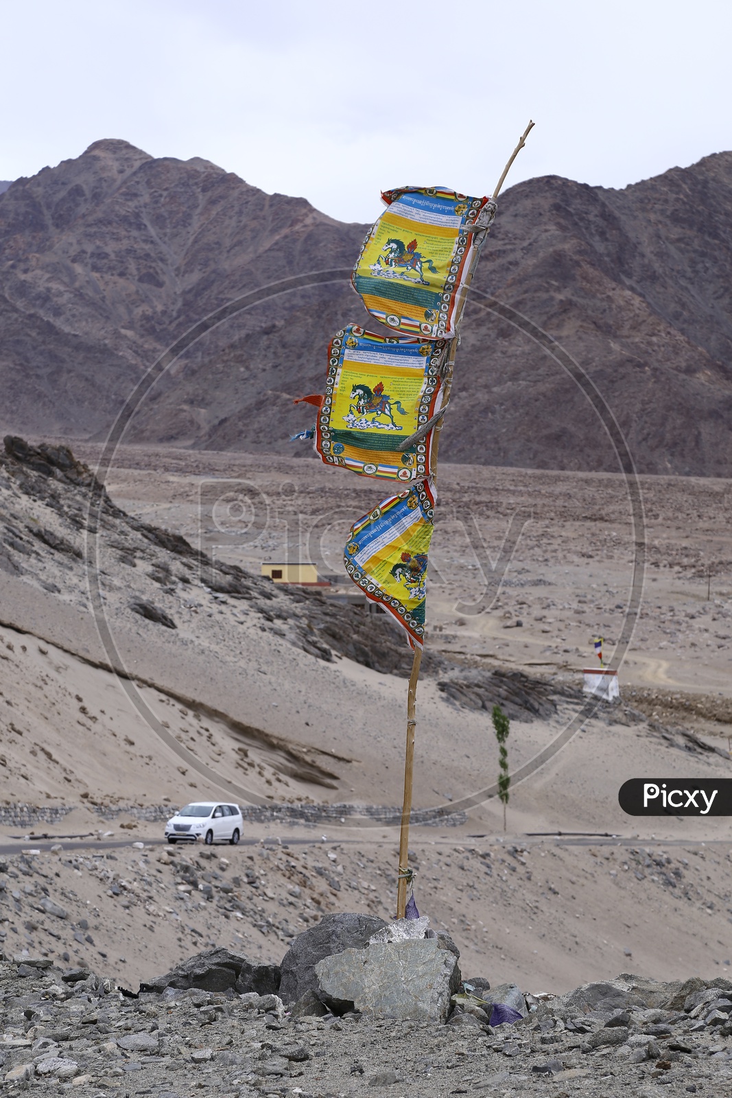Image of Shey Monastery flags-BY546689-Picxy
