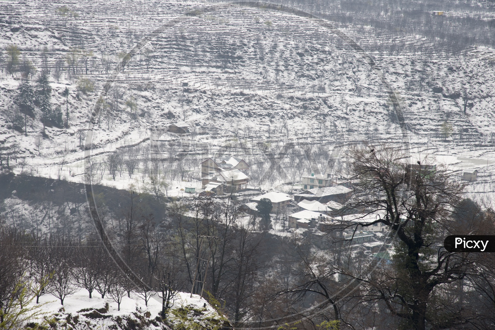 Image of View of Manali-VC449619-Picxy