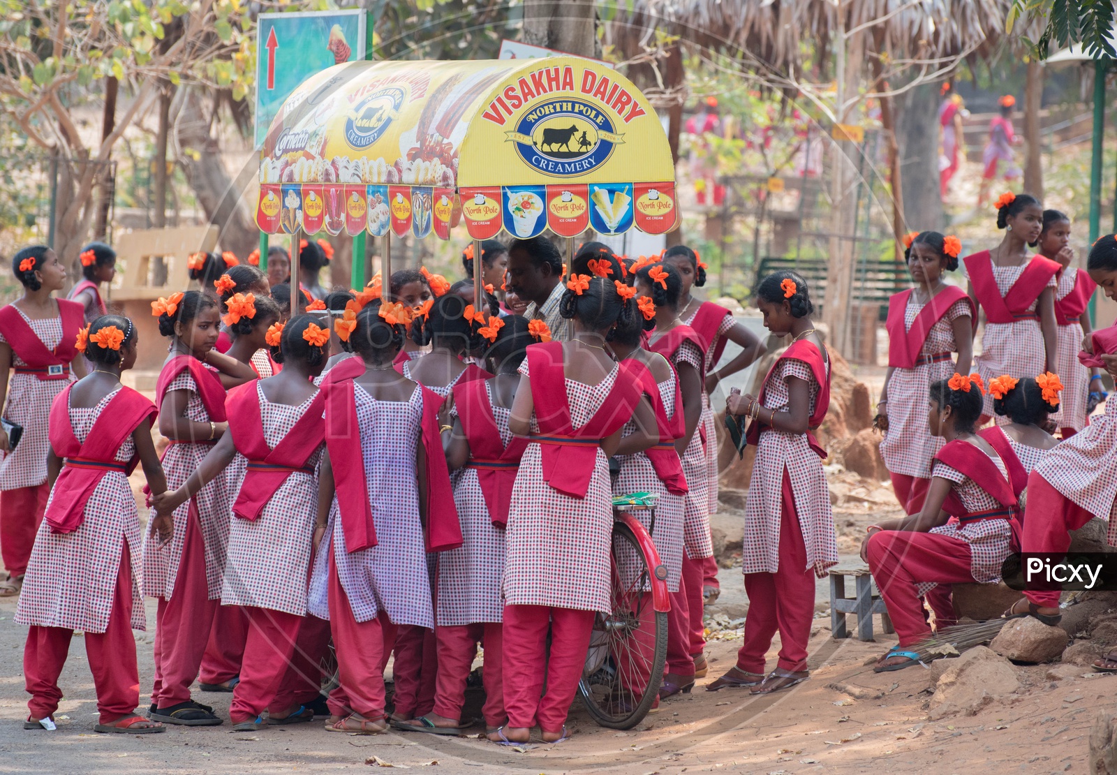 Image of Red ribbon Story-ZM201345-Picxy