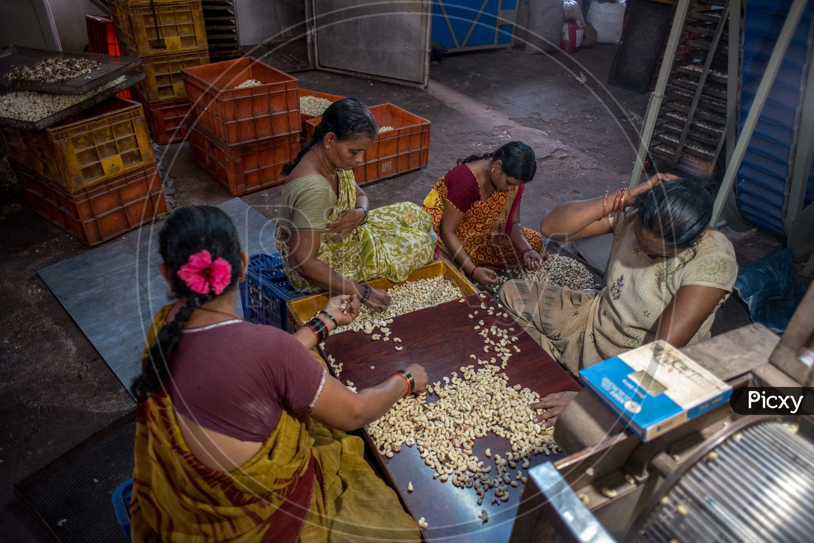 Image of workers in cashew making factory-KA906420-Picxy