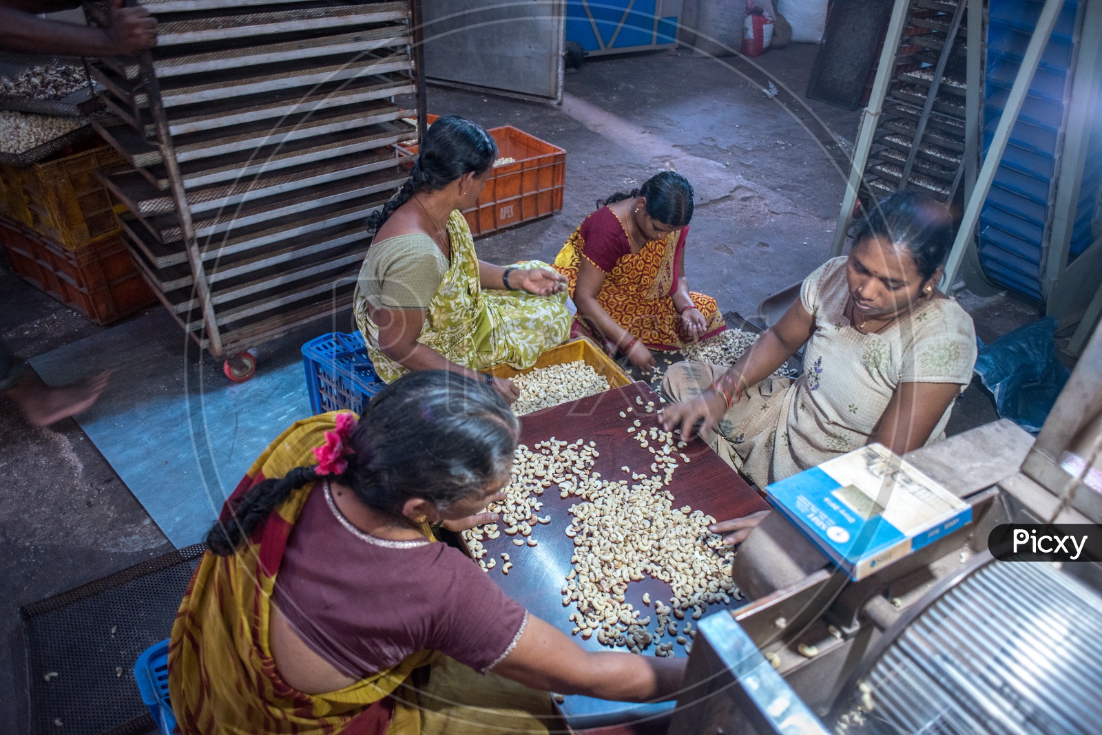 Image of workers in cashew making factory-BW400731-Picxy