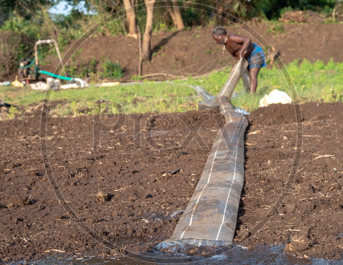 Image of A farmer pumping water into his Paddy Field-DJ465915-Picxy