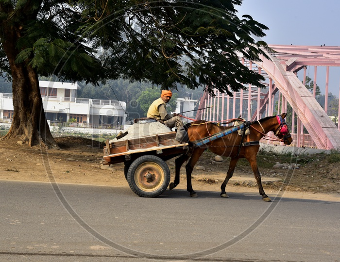 Image of Horse cart-SE269883-Picxy