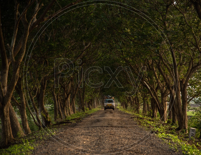 Image of A kid Playing on a road between Chiluvuru and Namburu-NJ747513 ...