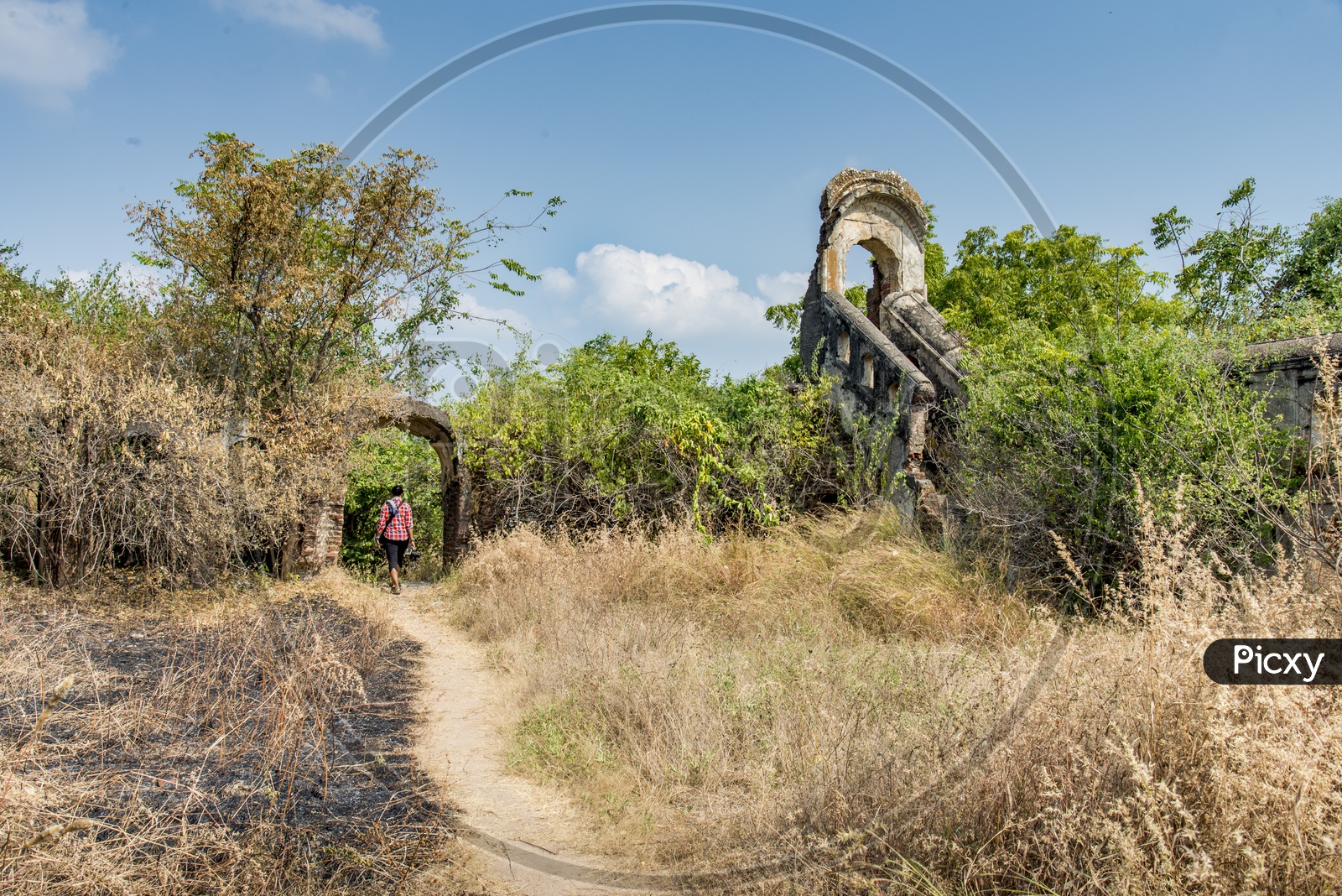 Image of Nirmal Fort-TC481041-Picxy