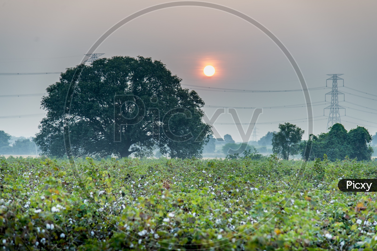 Image of Landscapes of Kalwa-ZT805394-Picxy