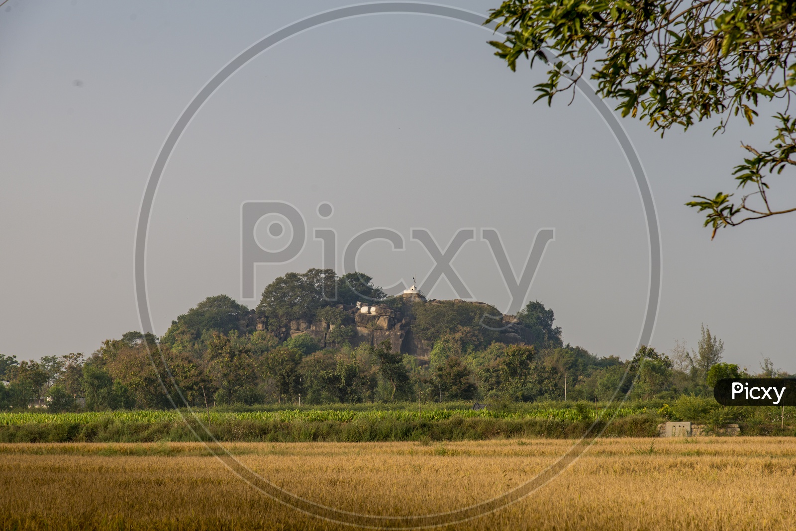Image of Kalwa Narsimhaswamy Temple, Kalwa-MA628080-Picxy