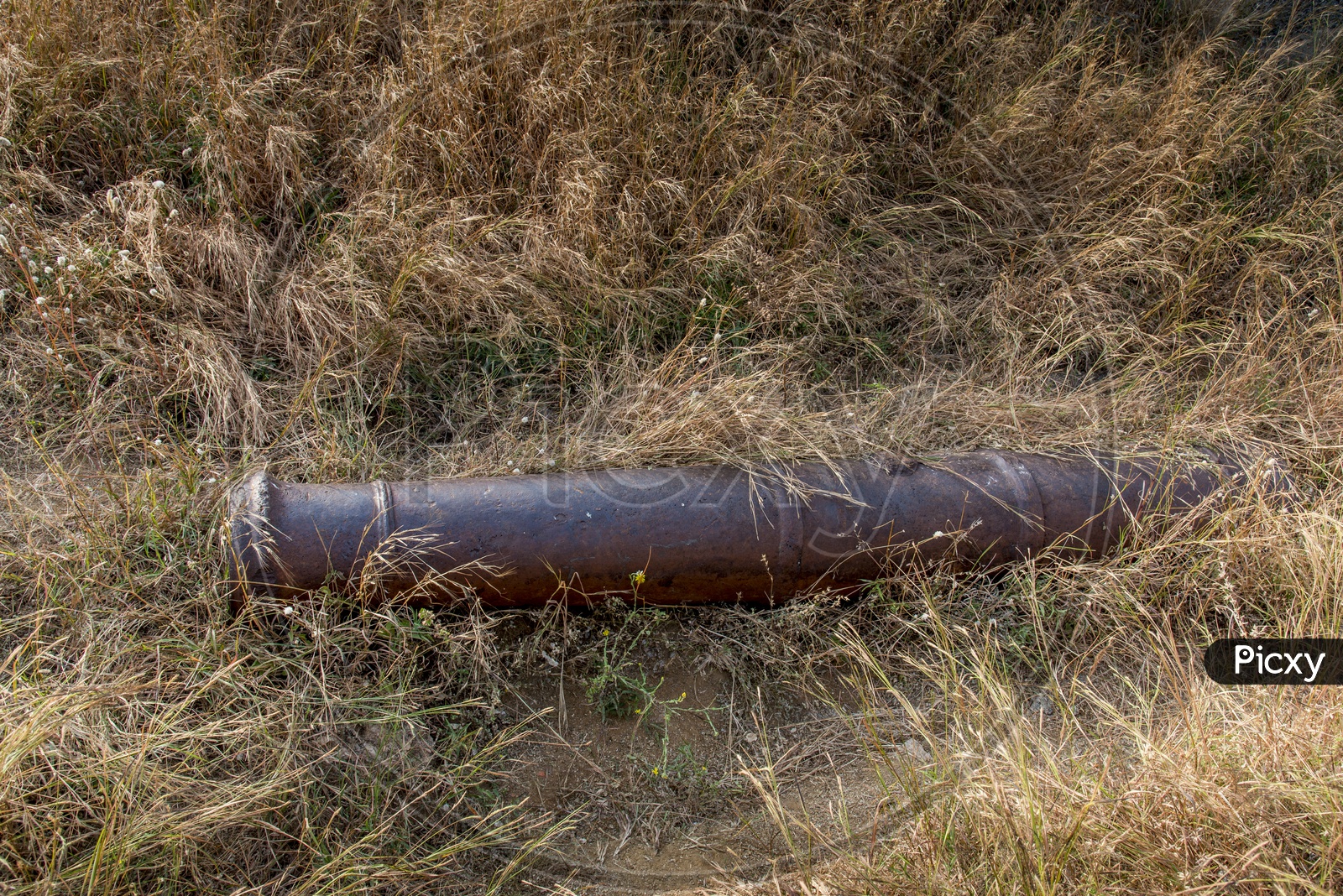 Image of Nirmal Fort-BU404892-Picxy