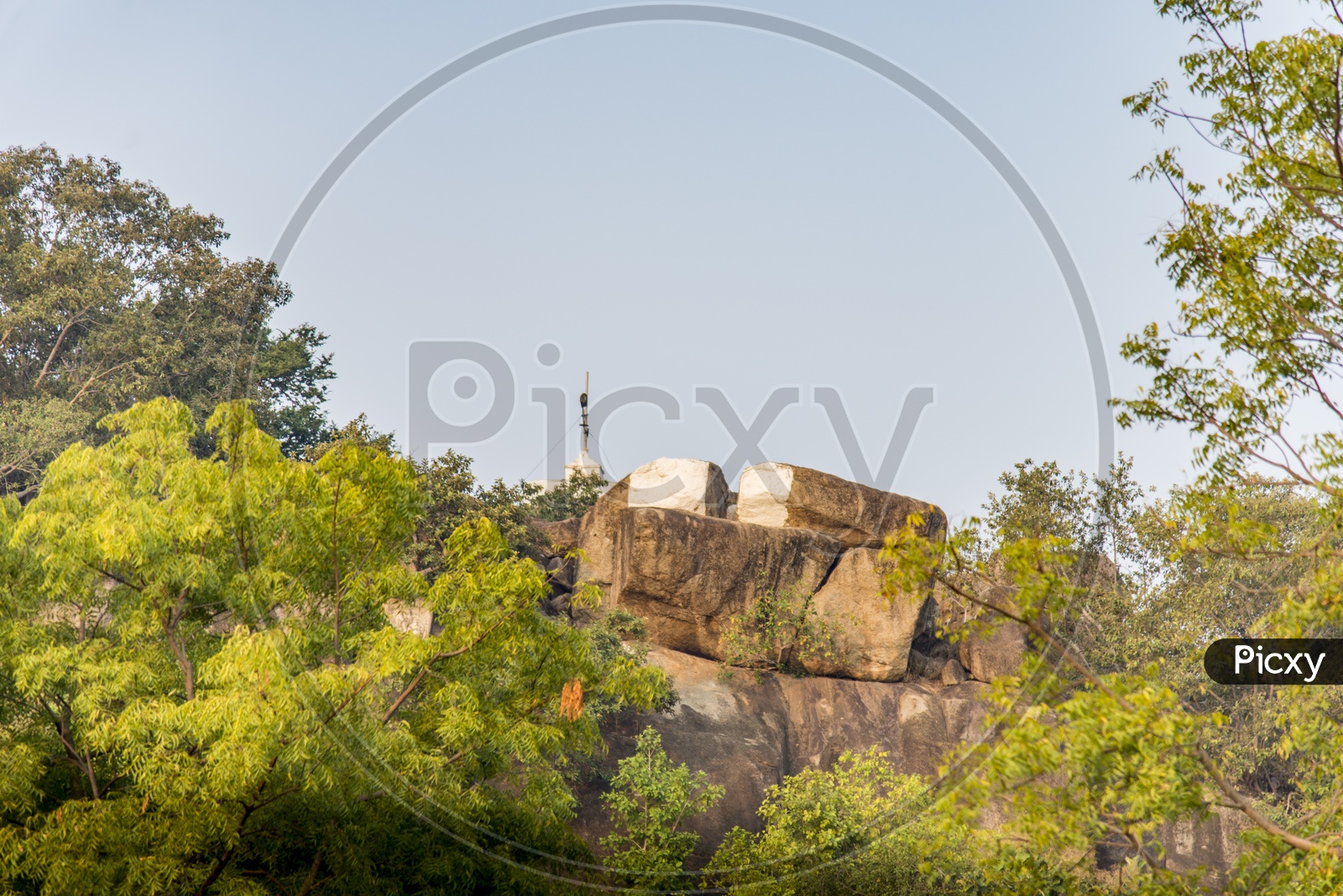 Image of Kalwa Narsimhaswamy Temple, Kalwa-ZP779264-Picxy