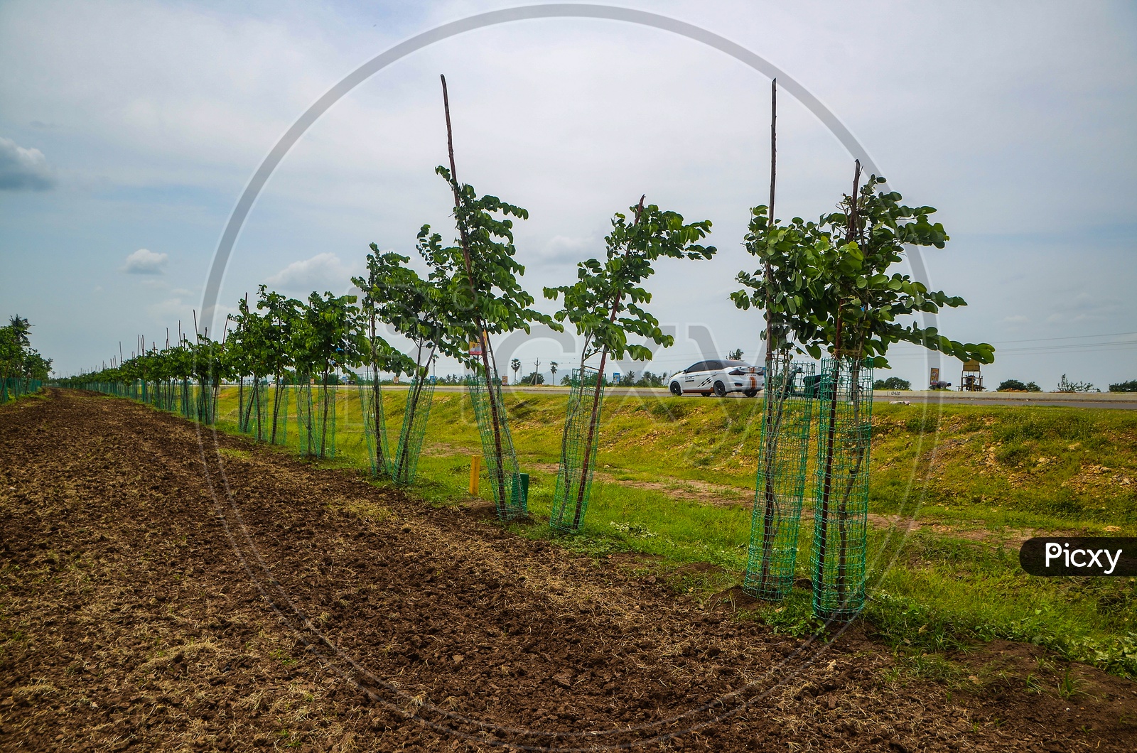 Image of Road side plant installations-YT836360-Picxy
