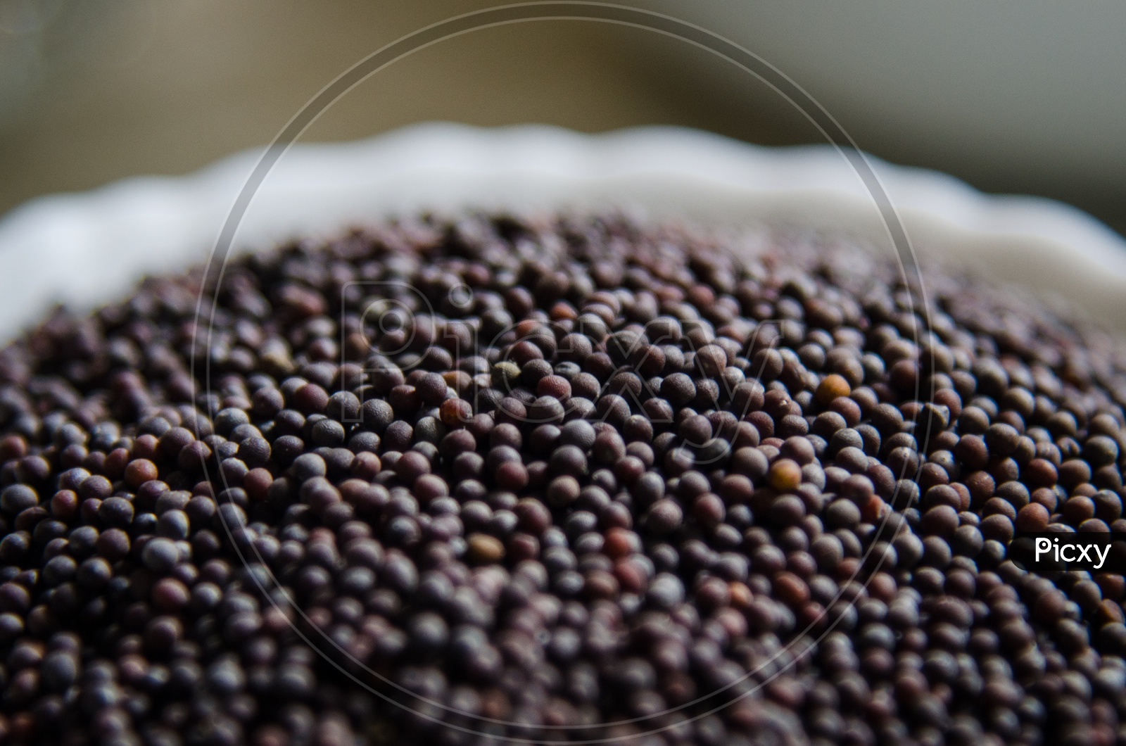 Image of Mustred Seeds (Avalu)-BZ725571-Picxy