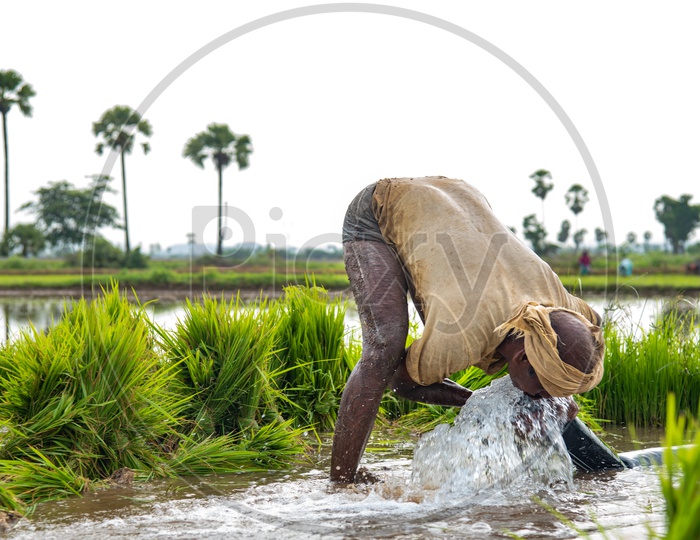 Image of a farmer drinking water from a pumpset in his field-QB358126-Picxy