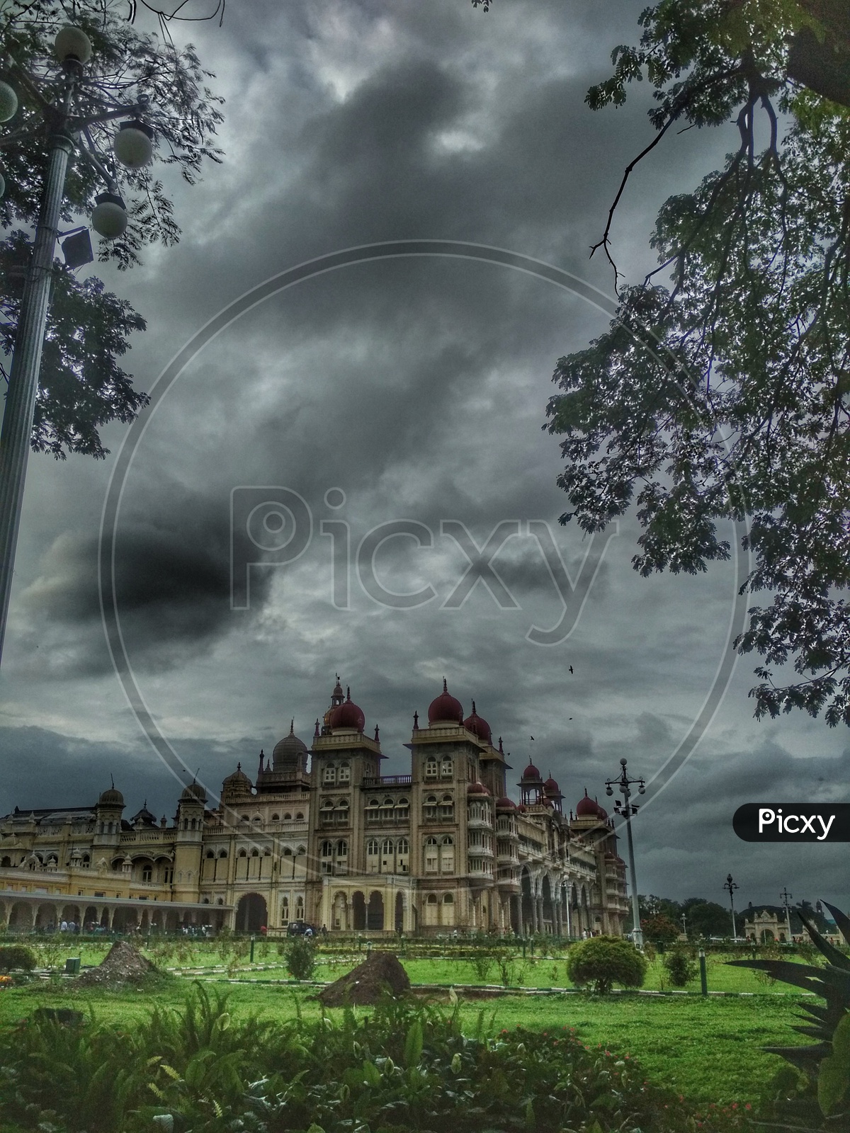 Image of A scary look-OI377606-Picxy