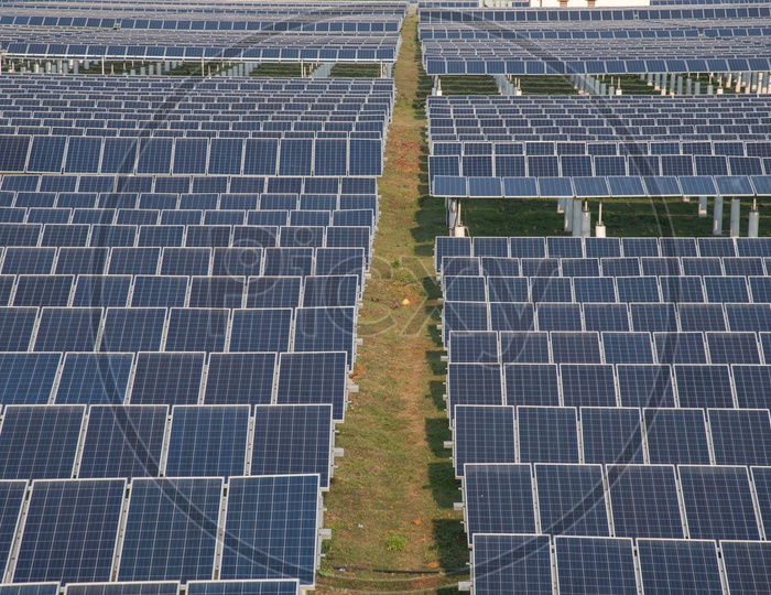 Image of Solar Panels for generating renewable Solar Energy in a Solar ...