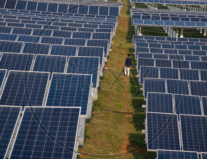 Image of Solar Panels for generating renewable Solar Energy in a Solar ...