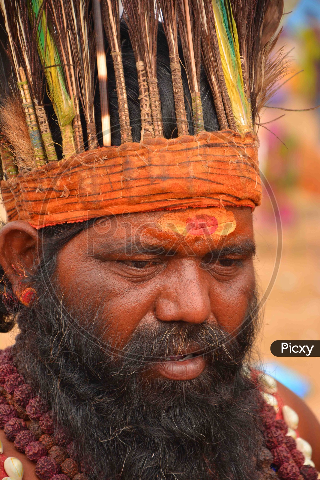 Image of Devotees at Sammakka Saralamma Jatara or Medaram Jatara ...
