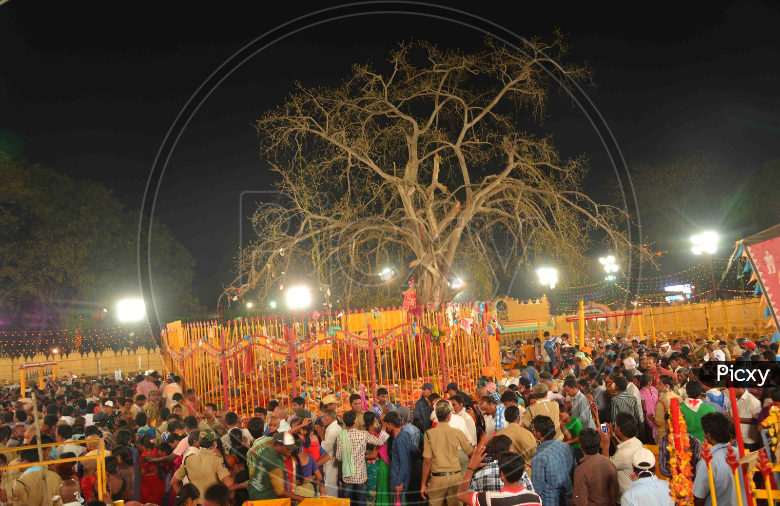 Image of Sammakka Saralamma Jatara or Medaram Jatara-OV001851-Picxy