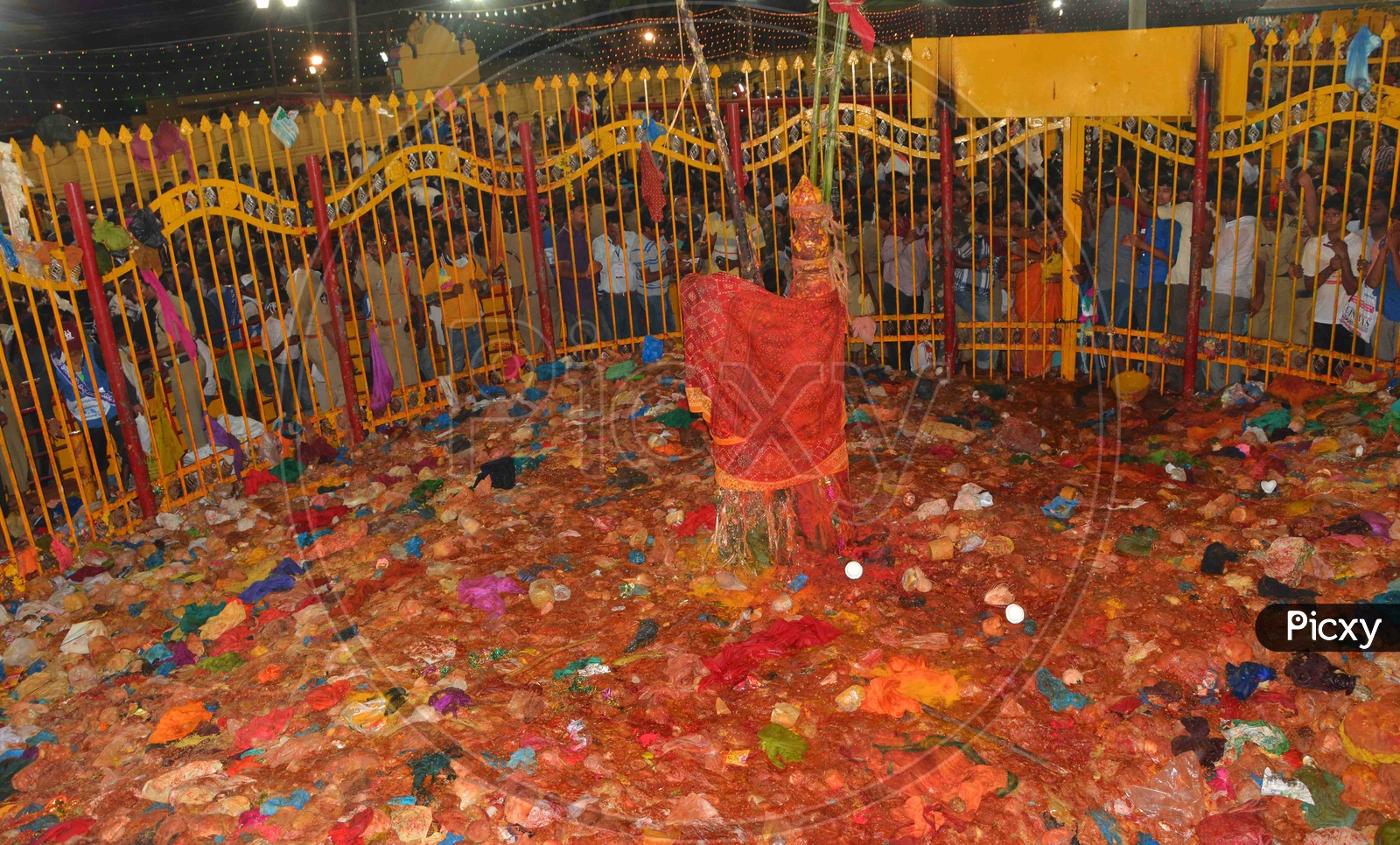 Image of Sammakka Saralamma Jatara or Medaram Jatara-RJ745831-Picxy