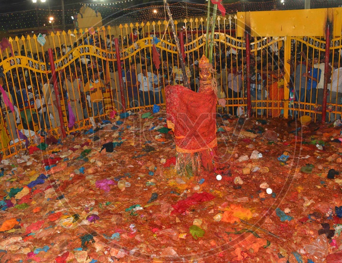 Image of Sammakka Saralamma Jatara or Medaram Jatara-RJ745831-Picxy
