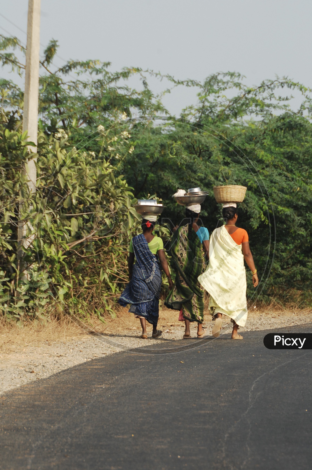 Image of Women returning home after work-RO816255-Picxy
