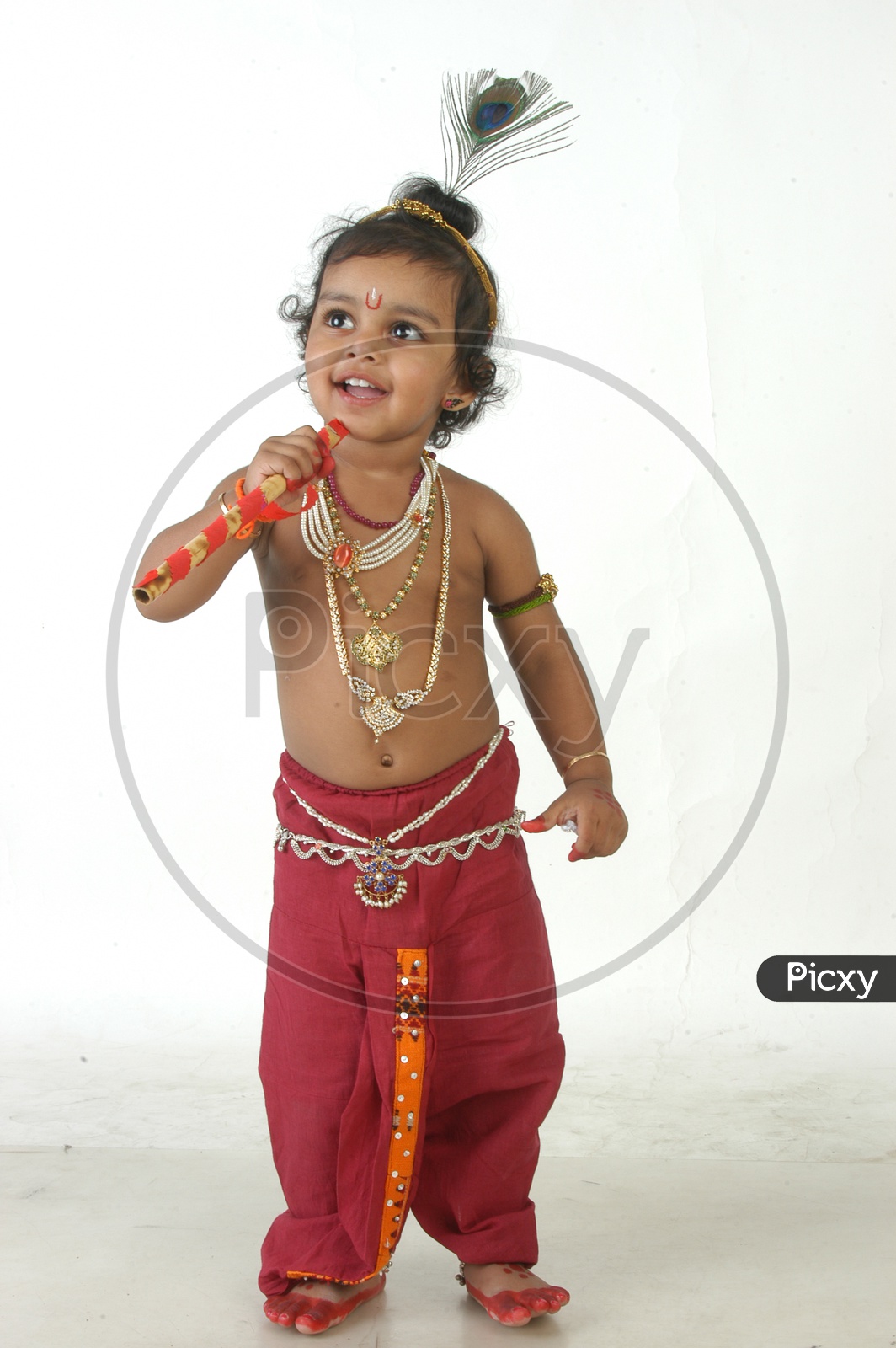 Image of A Cute Indian Boy in a Hindu God Sri Krishna Getup-HP510662-Picxy