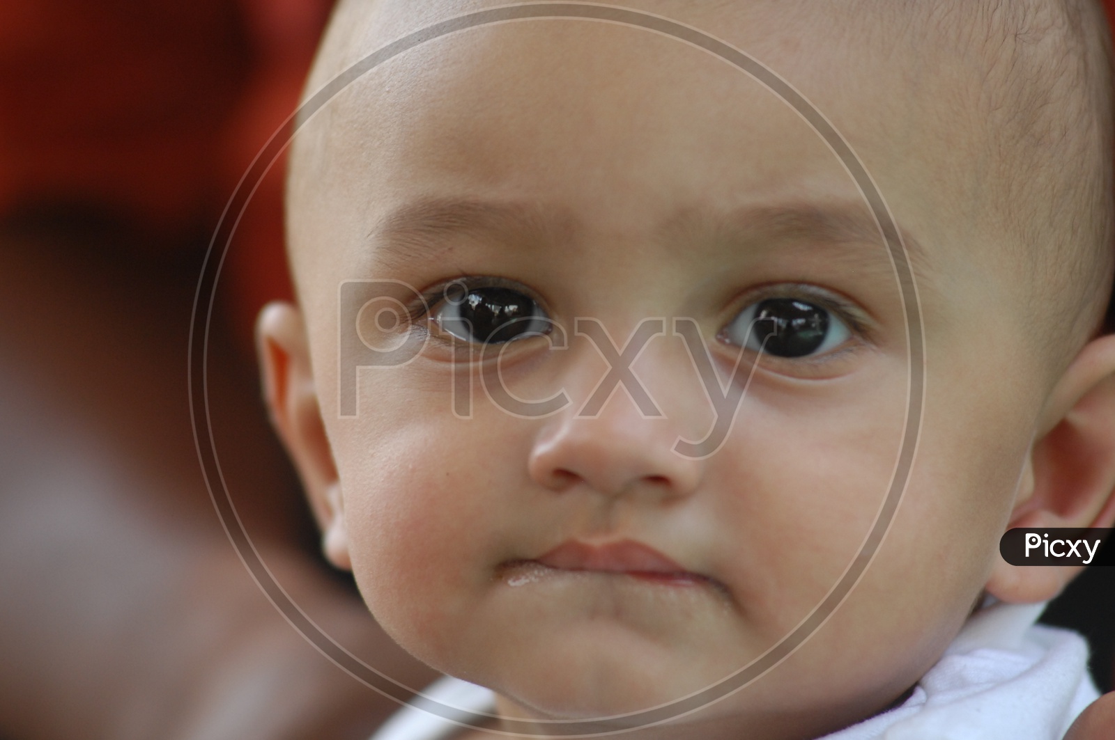 Image of A Cute Adorable Indian Baby Boy Closeup Shots With Expressions ...