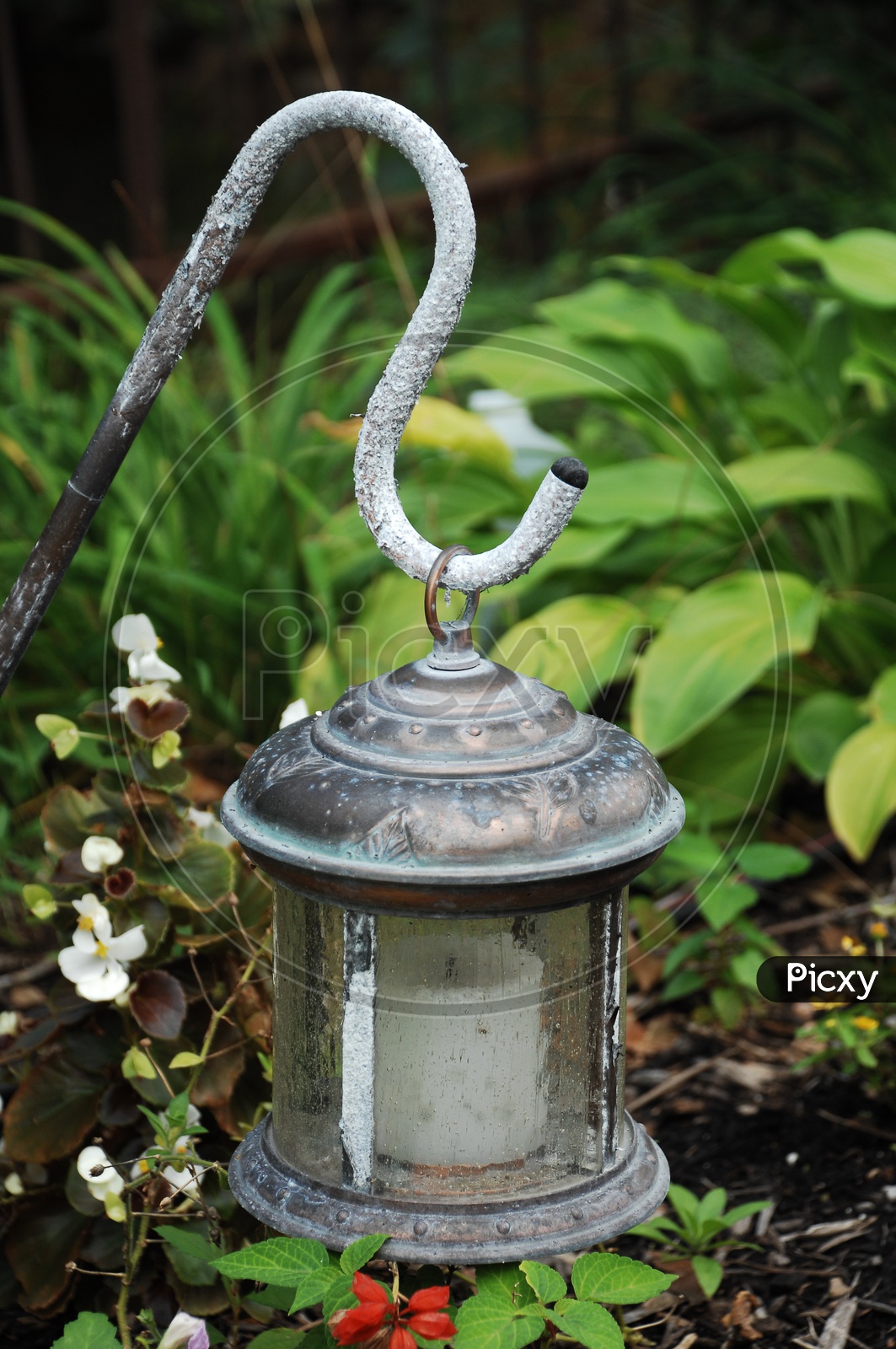 Image of Small Lamp Post hanging in a Garden-MS117212-Picxy