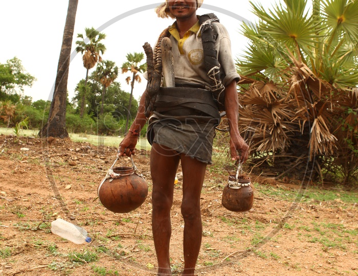 Image of Indian Toddy collection man-BV956711-Picxy