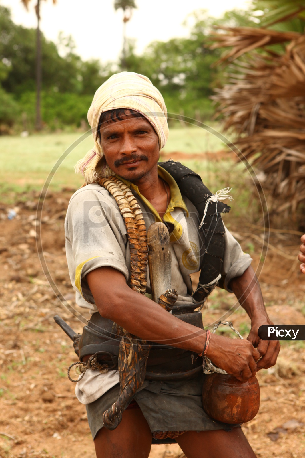 Image of Indian Toddy collection man-PJ002881-Picxy