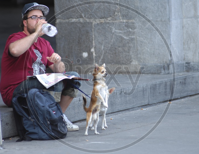Image of A Man With Pet Dogs-SQ444734-Picxy