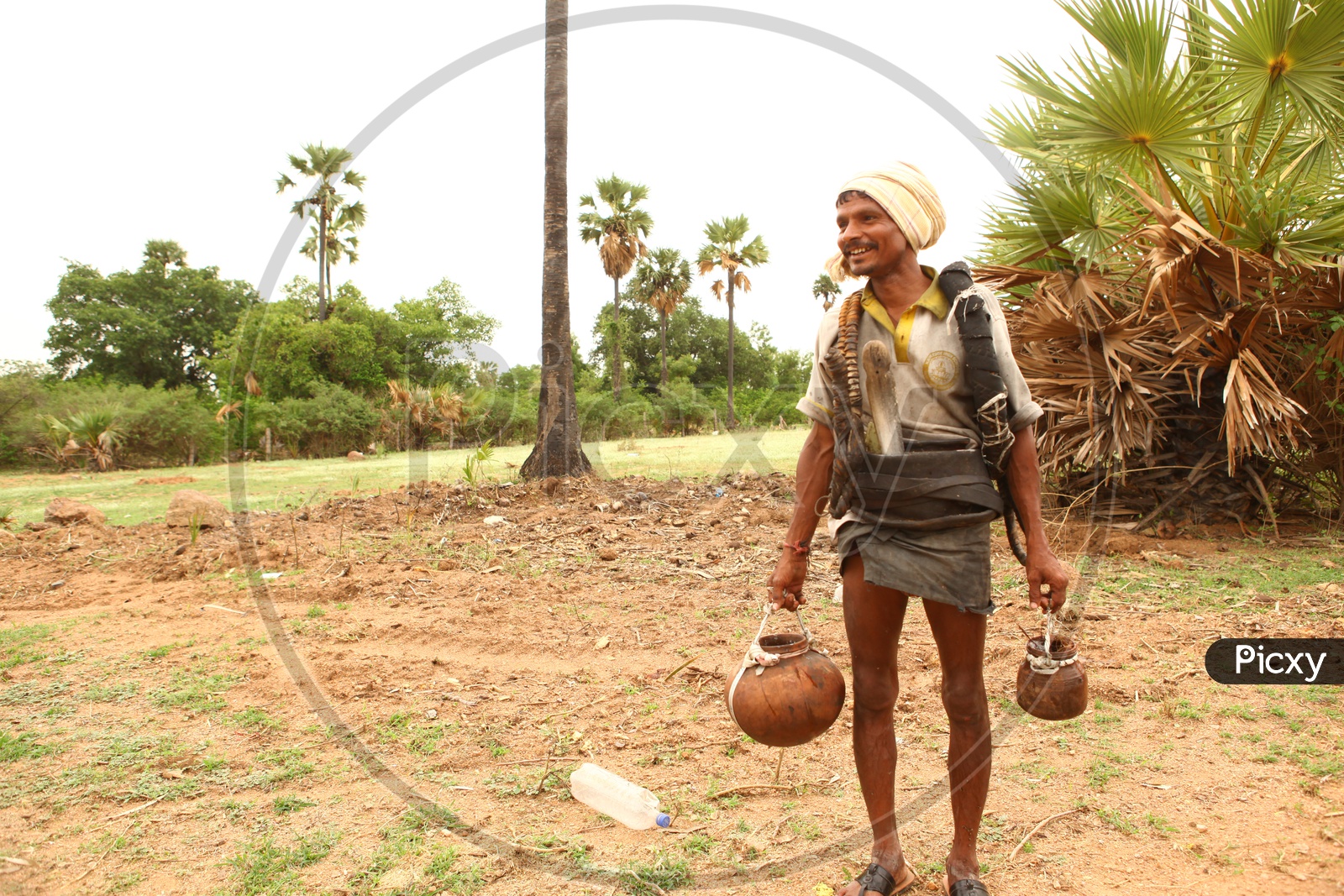Image of Indian Toddy collection man-BV956711-Picxy