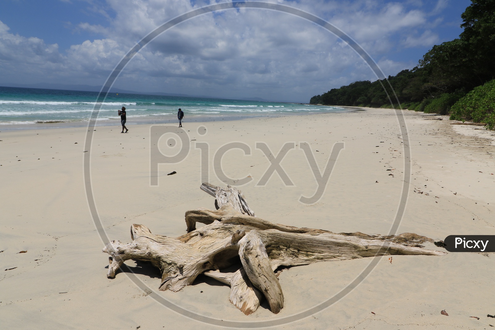 Image of Stunning beach view in Andaman and Nicobar Islands, India ...