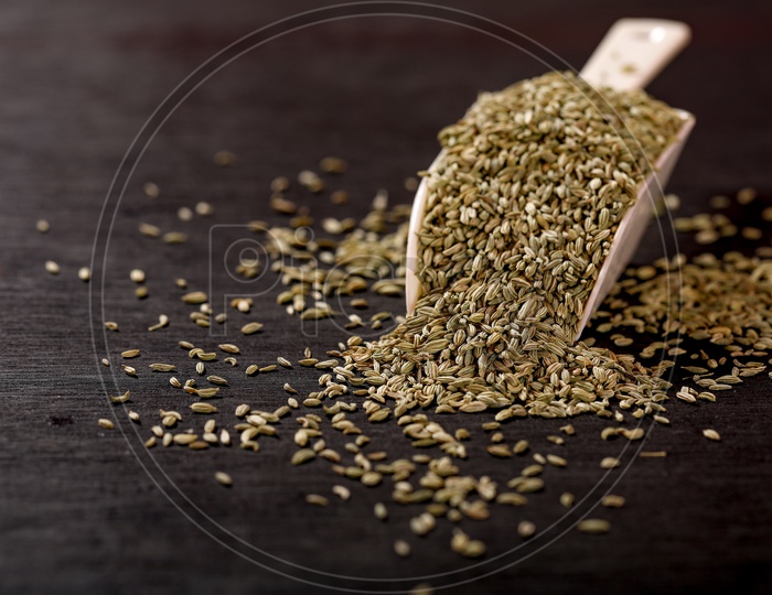 Image of Fennel Seeds/Saunf - Indian Spices-MB544005-Picxy