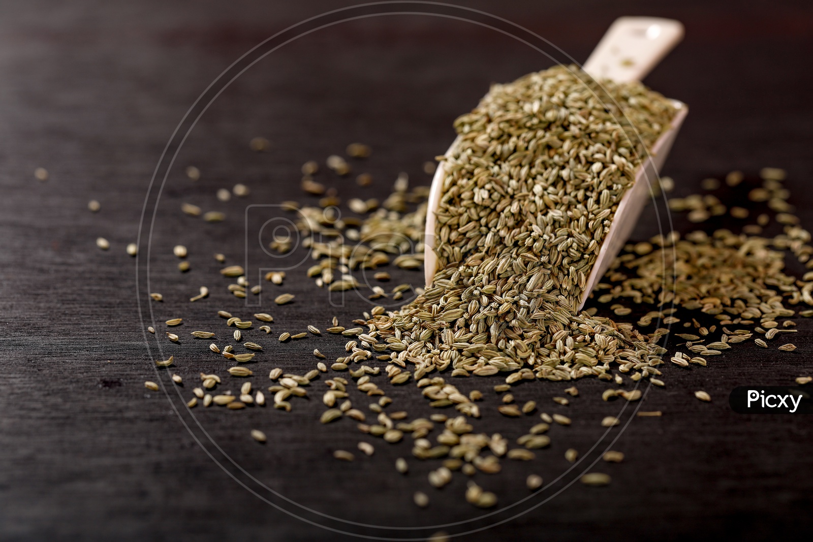 Image of Fennel Seeds/Saunf - Indian Spices-MB544005-Picxy
