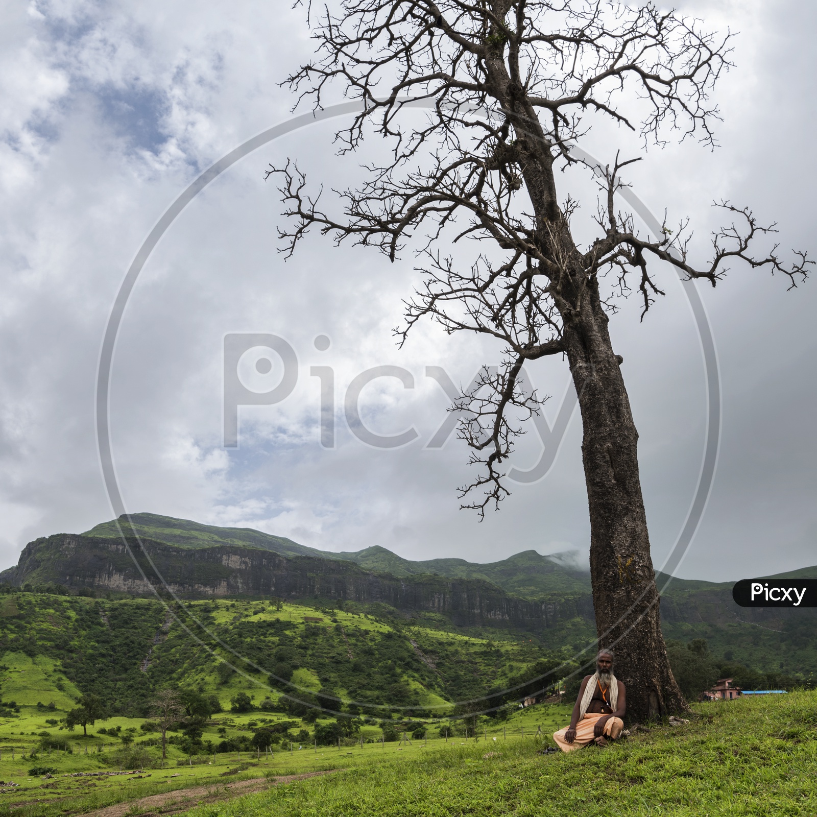 Image of An Indian Sadhu / Baba Sitting Under a tree Shadow In Nasik ...