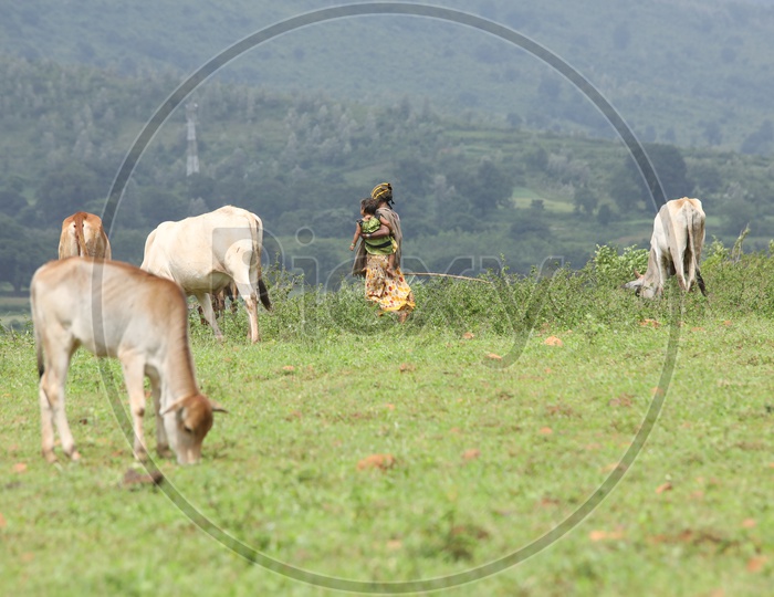 Image of women carrying a child and cows around-KR419411-Picxy