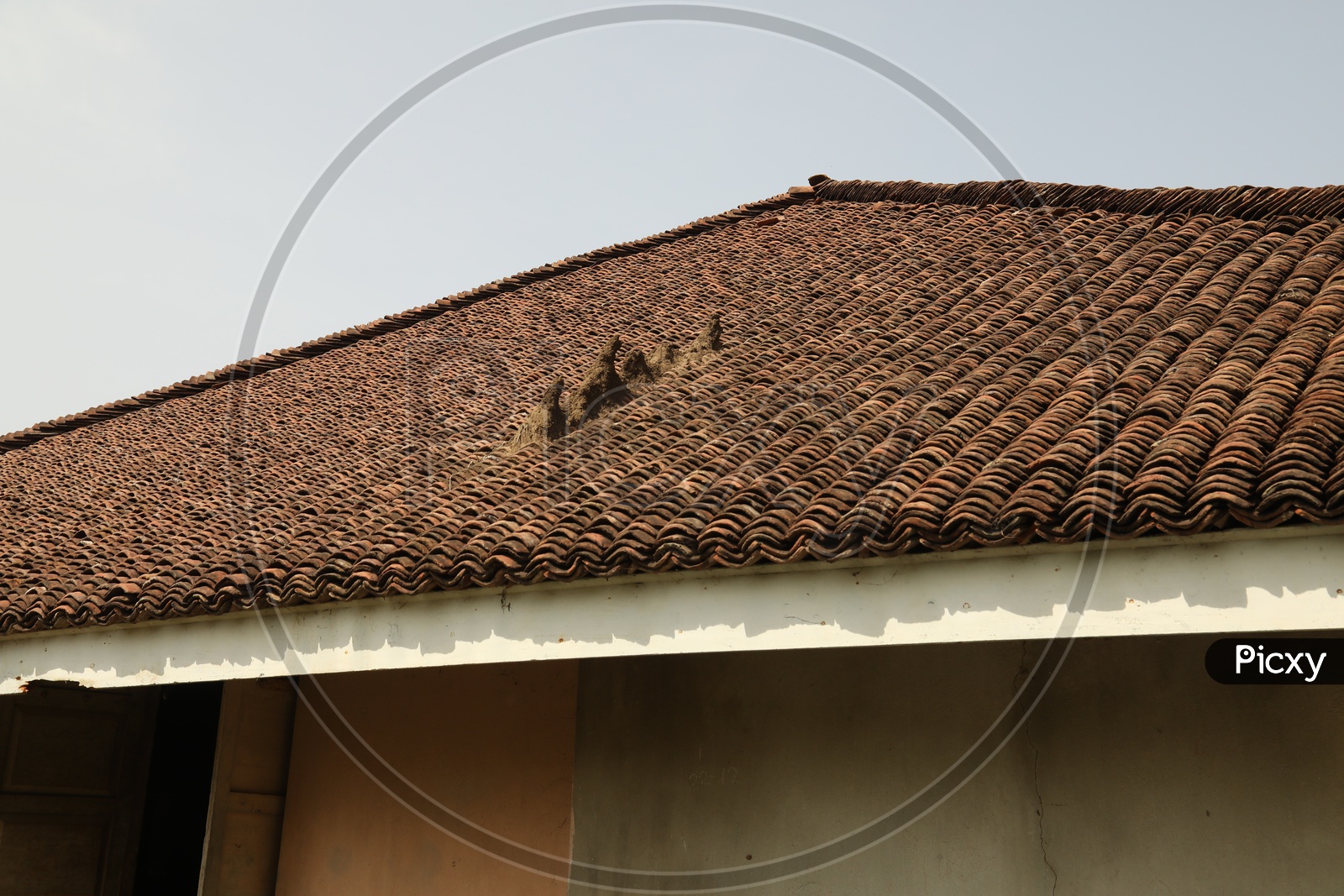 Image of Traditional Indian tile Huts-VG707365-Picxy
