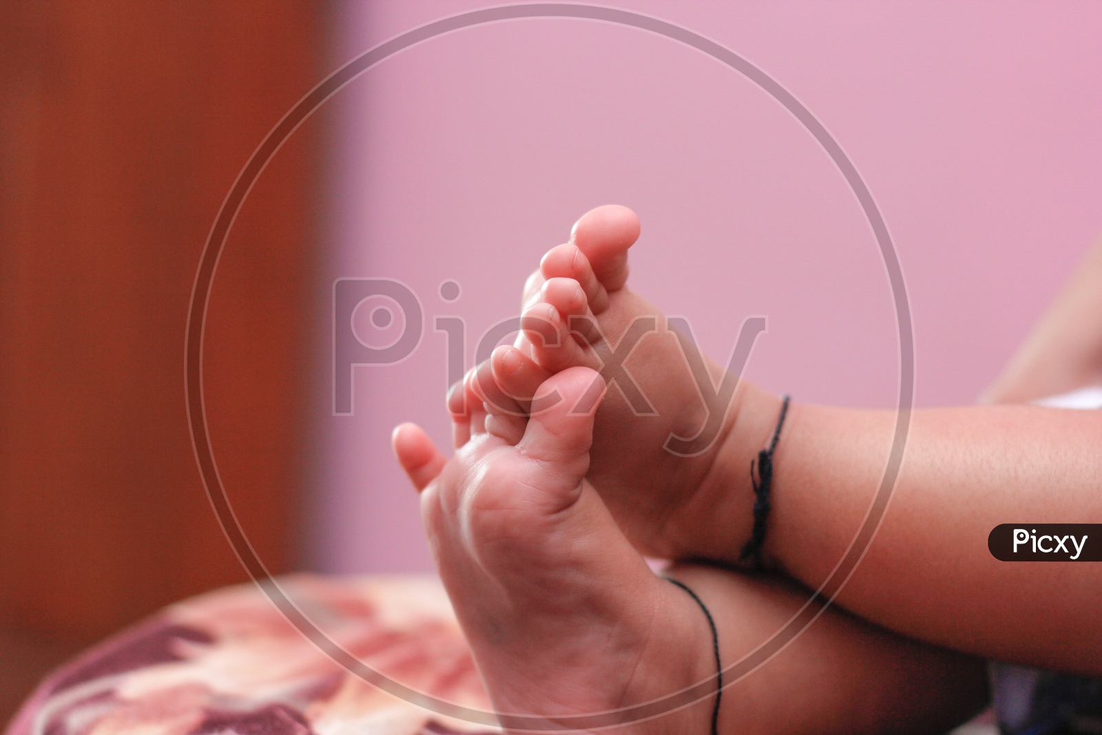 Image of Indian Baby Legs Closeup Shot-OJ929407-Picxy